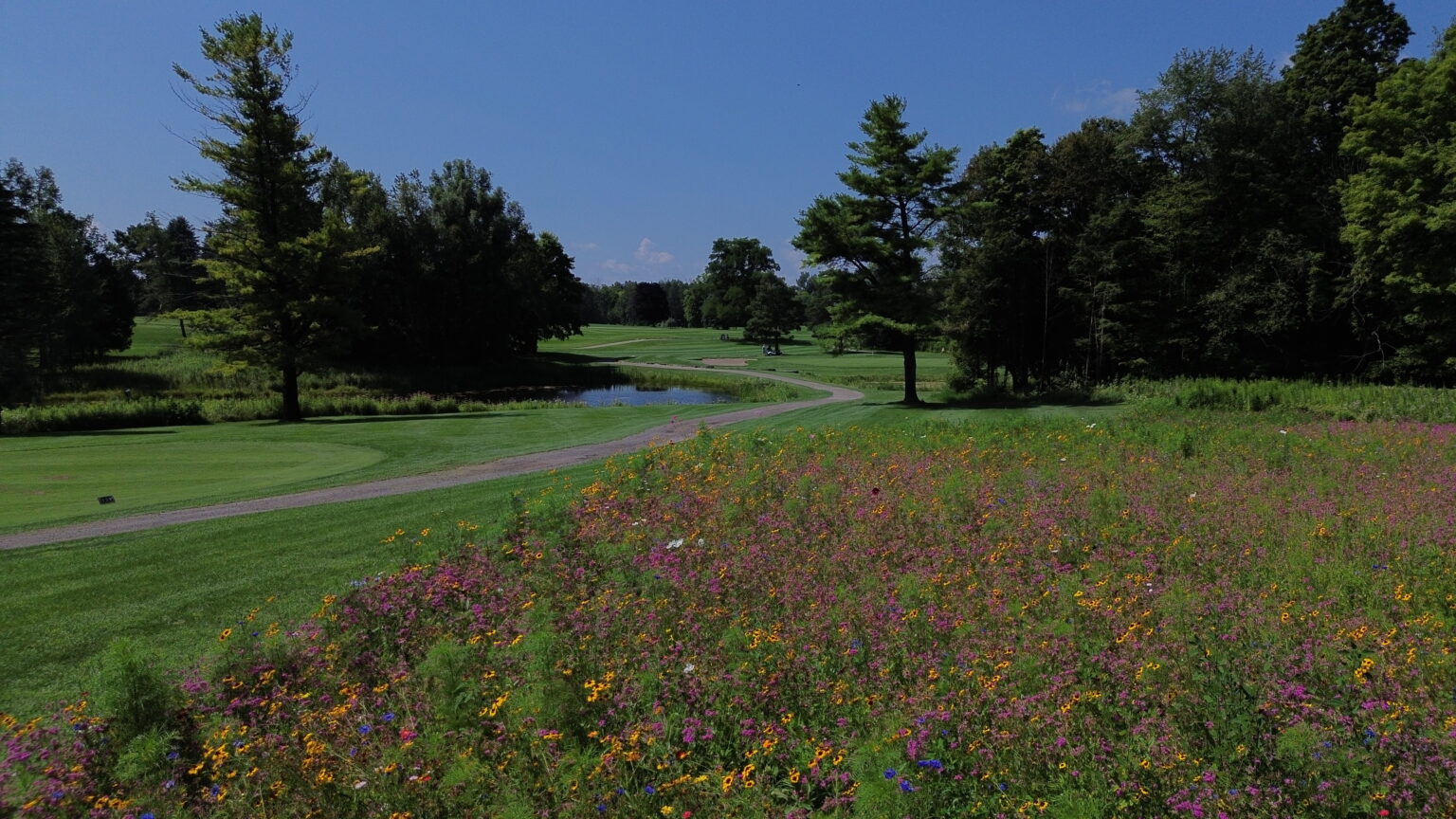 Drone - Pheasant Run Golf Club Pheasant Run Golf Club