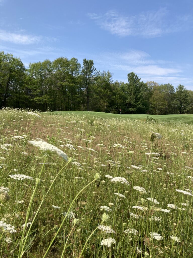 Pheasant Run Honey - Pheasant Run Golf Club Pheasant Run Golf Club